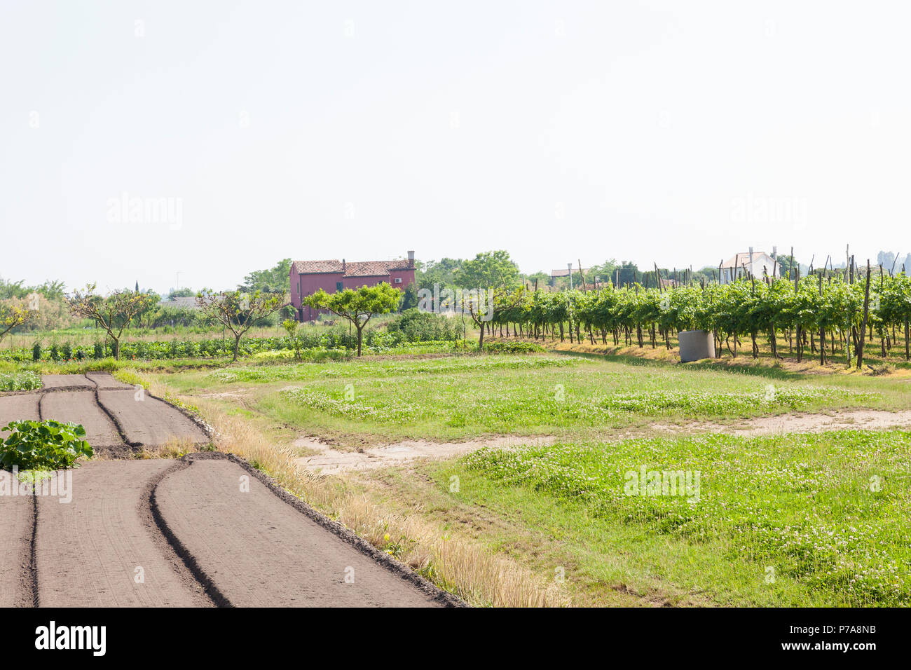 Sant’erasmo venice lagoon hi-res stock photography and images - Alamy