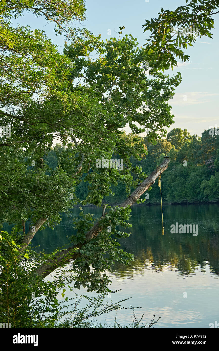 River bank rope swing hi-res stock photography and images - Alamy