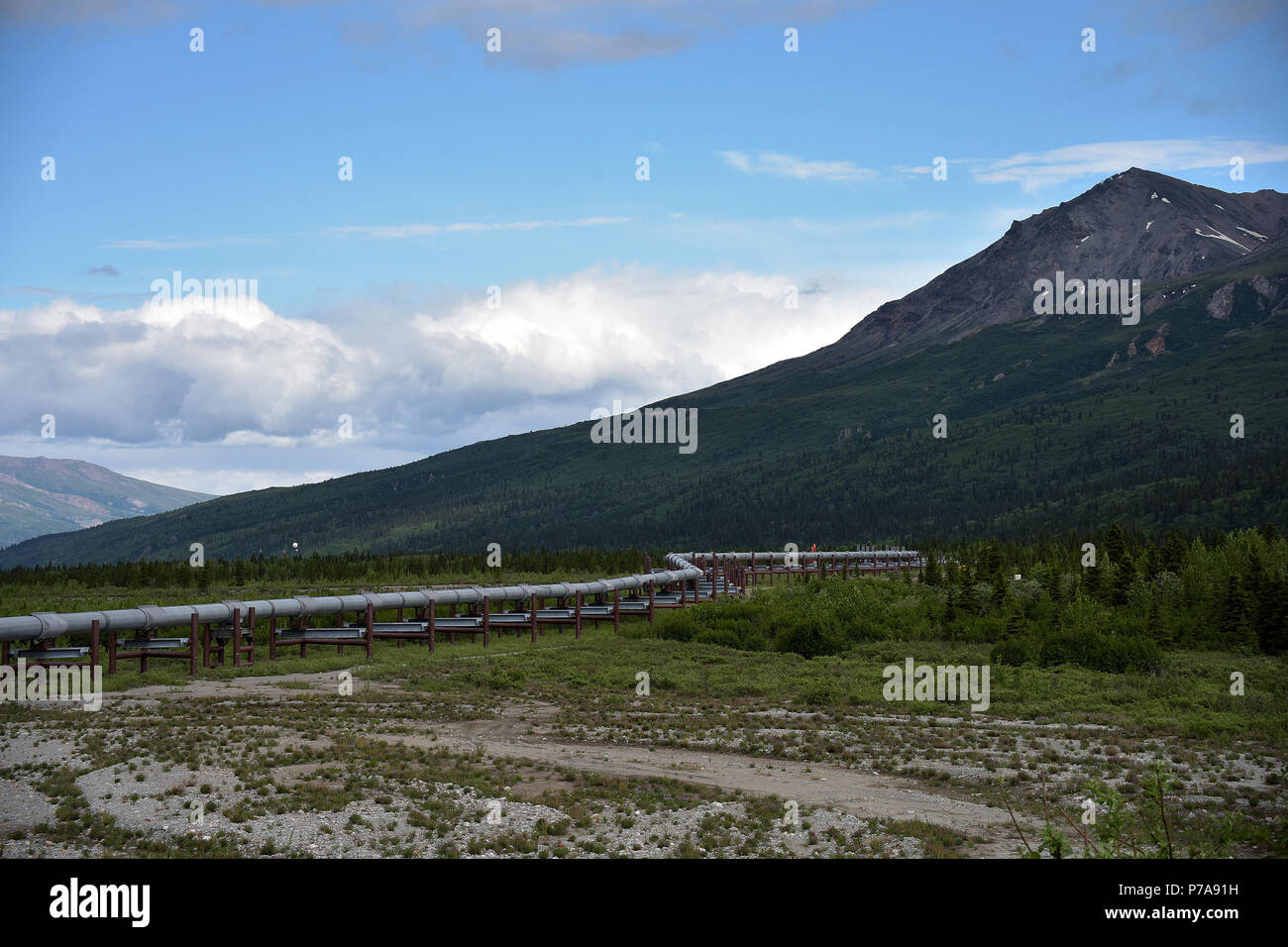 The 800-mile-long Trans Alaska Pipeline System is one of the world's ...