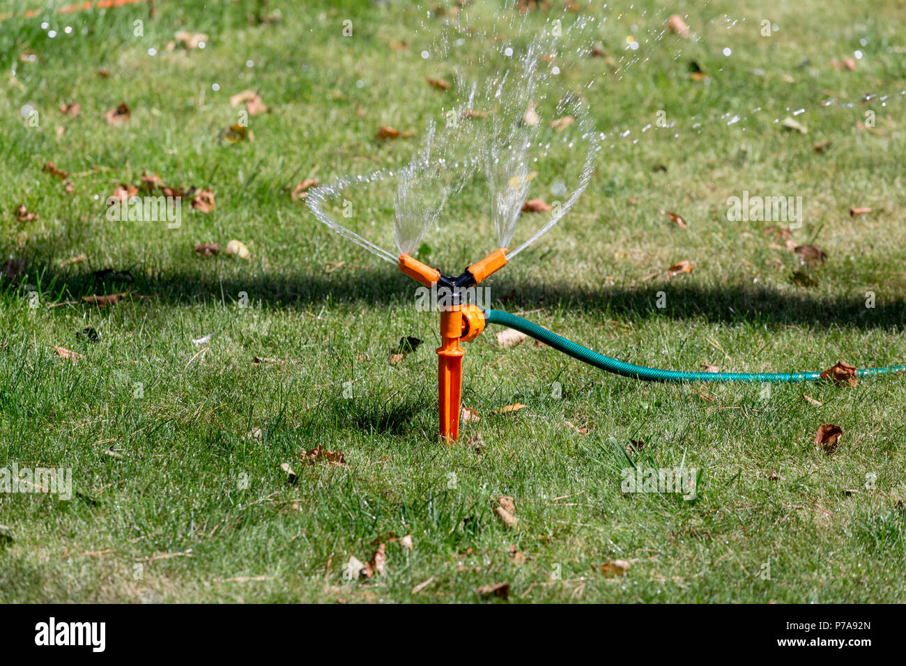 Auto sprinkler system hi-res stock photography and images - Alamy