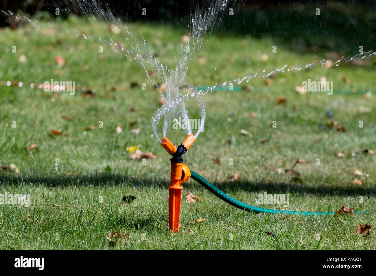 Auto sprinkler system hi-res stock photography and images - Alamy