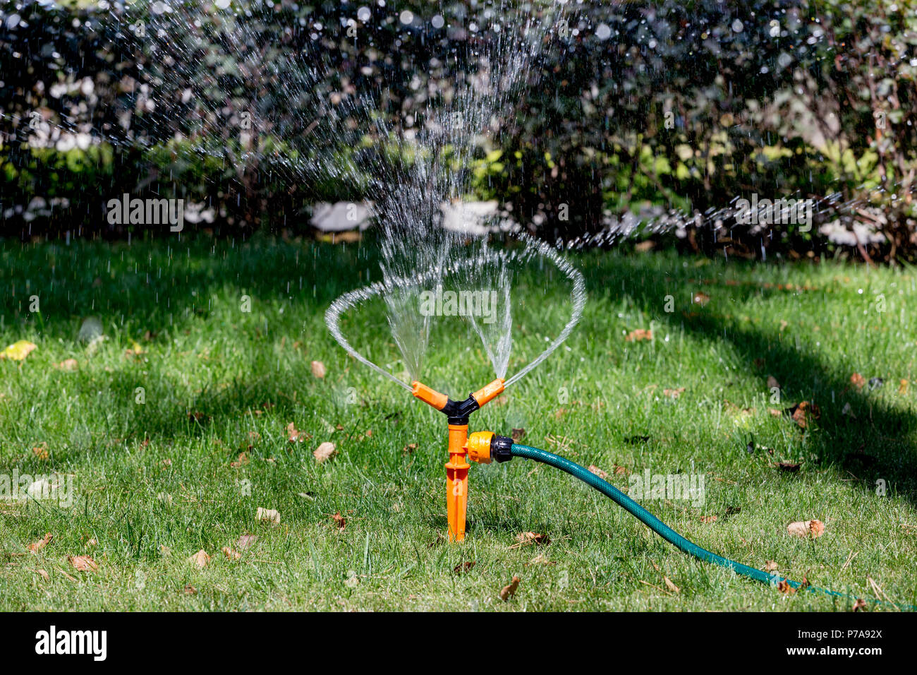 Auto sprinkler system hi-res stock photography and images - Alamy