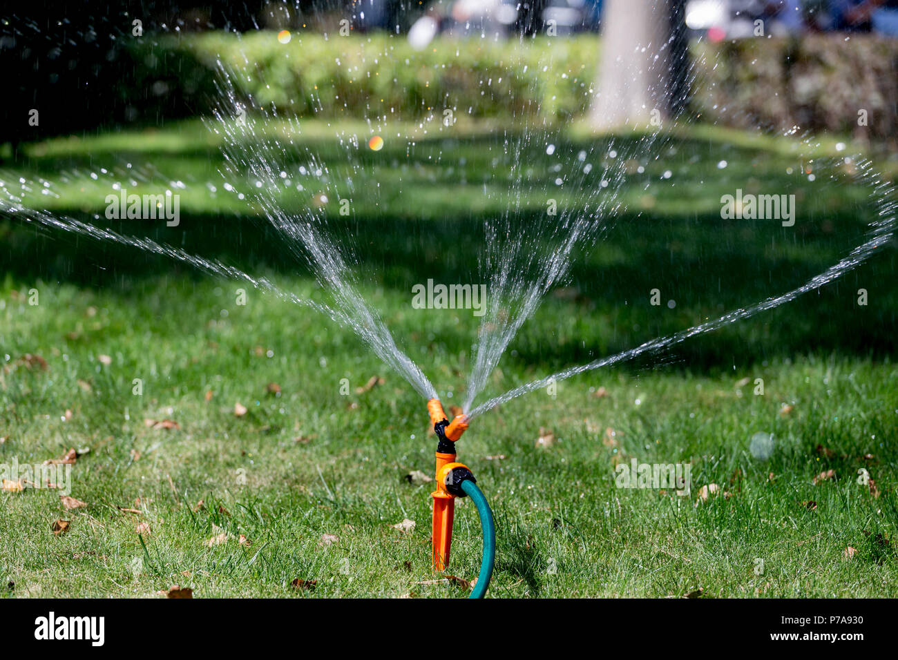 Auto sprinkler system hi-res stock photography and images - Alamy