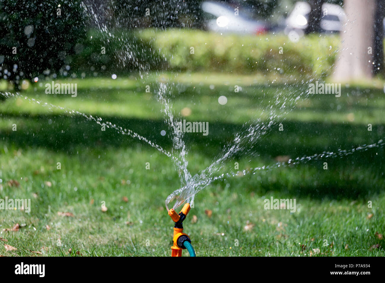 Auto sprinkler system hi-res stock photography and images - Alamy