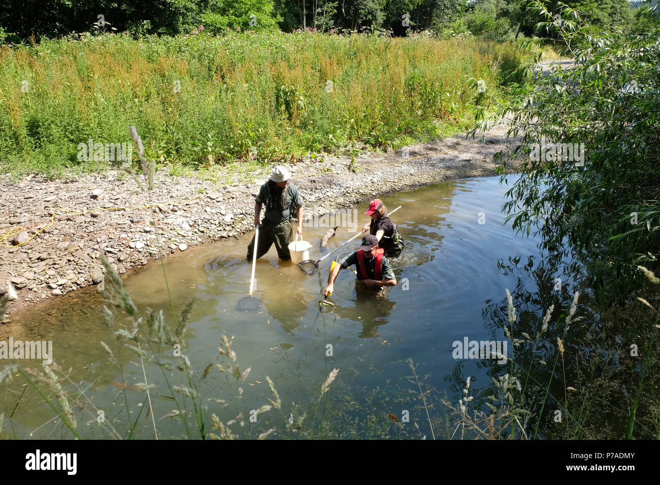 No more fish hi-res stock photography and images - Alamy