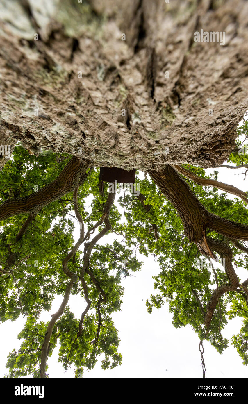 Bourton on the Water, Cotswolds, UK. 2pm Thursday 5th July 2018 ...