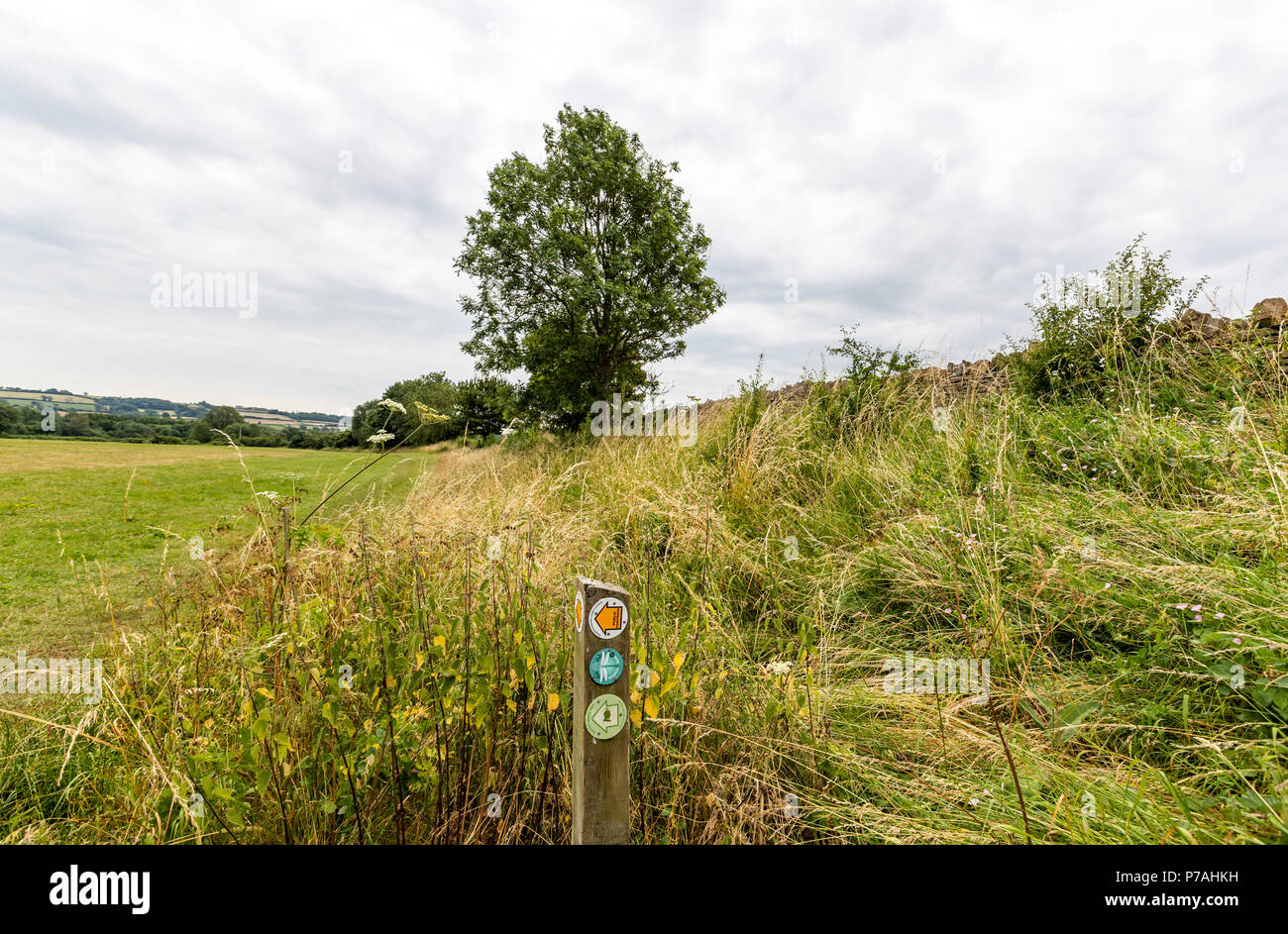 Ellie harrison 2018 hi-res stock photography and images - Alamy