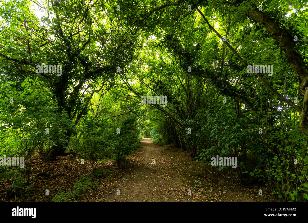 Bourton on the Water, Cotswolds, UK. 2pm Thursday 5th July 2018 ...