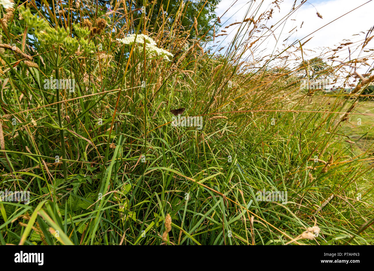 Bourton on the Water, Cotswolds, UK. 2pm Thursday 5th July 2018 ...