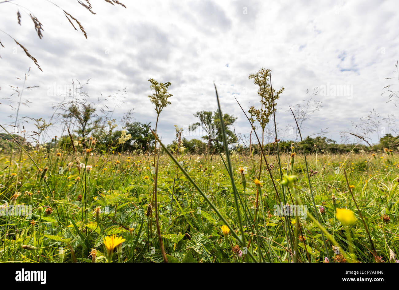 Ellie Harrison 2018 High Resolution Stock Photography and Images - Alamy