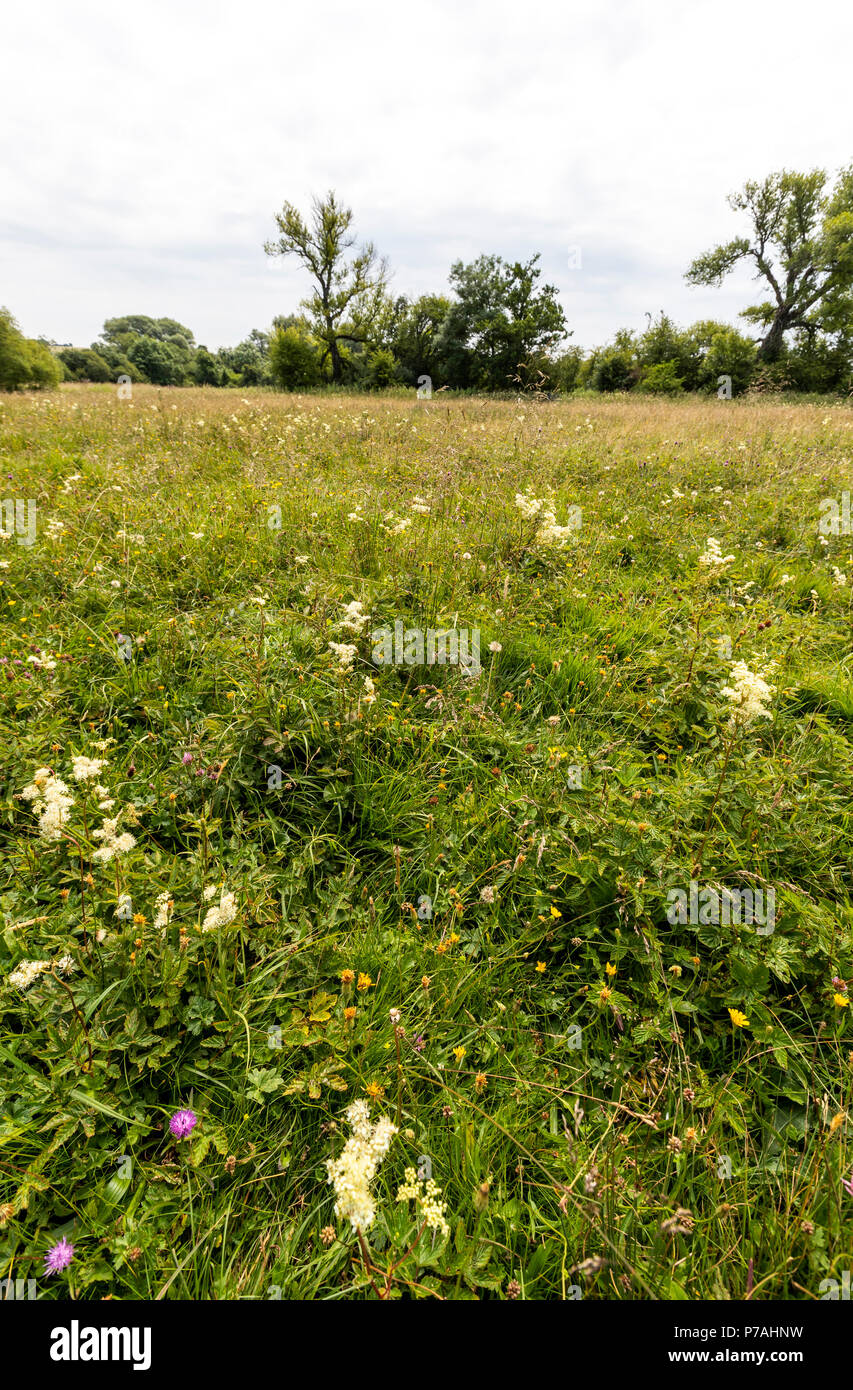 Bourton on the Water, Cotswolds, UK. 2pm Thursday 5th July 2018 ...