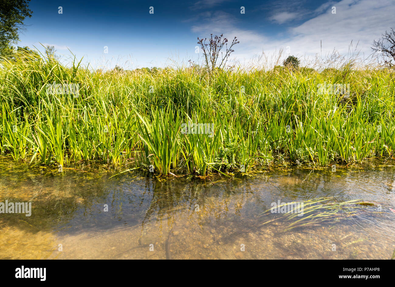 Bourton on the Water, Cotswolds, UK. 2pm Thursday 5th July 2018 ...