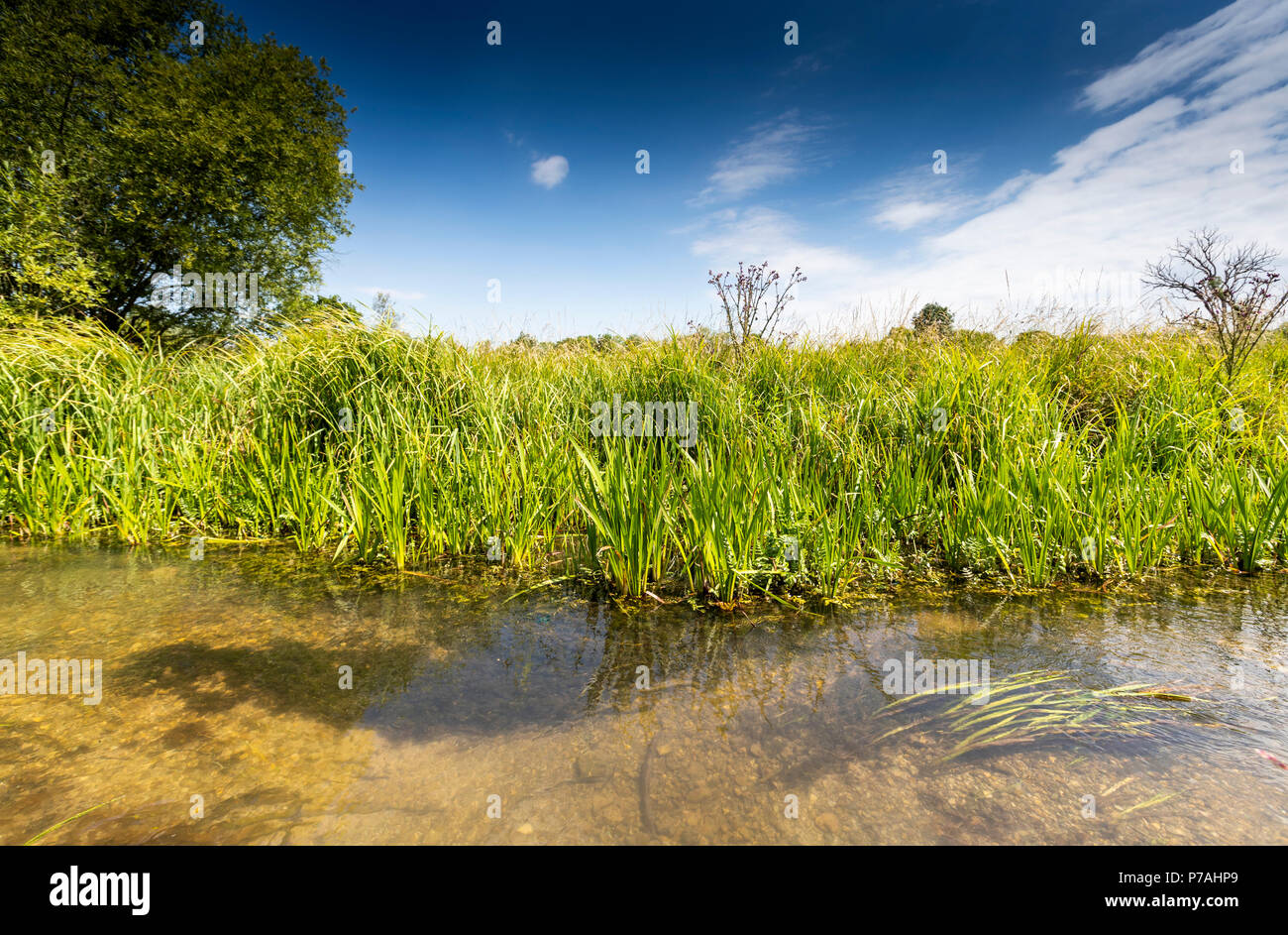 Bourton on the Water, Cotswolds, UK. 2pm Thursday 5th July 2018 ...