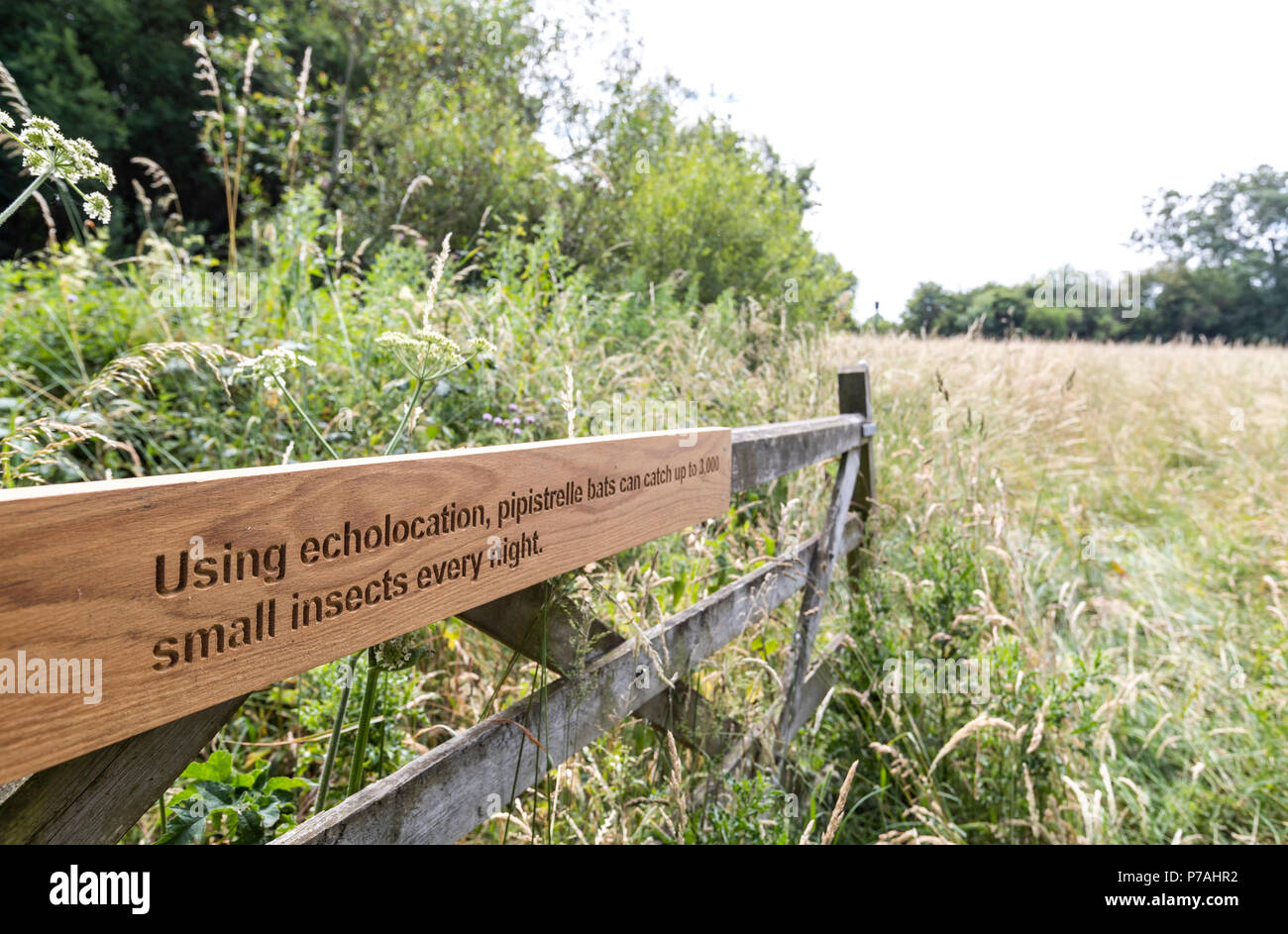 Bourton on the Water, Cotswolds, UK. 2pm Thursday 5th July 2018 ...