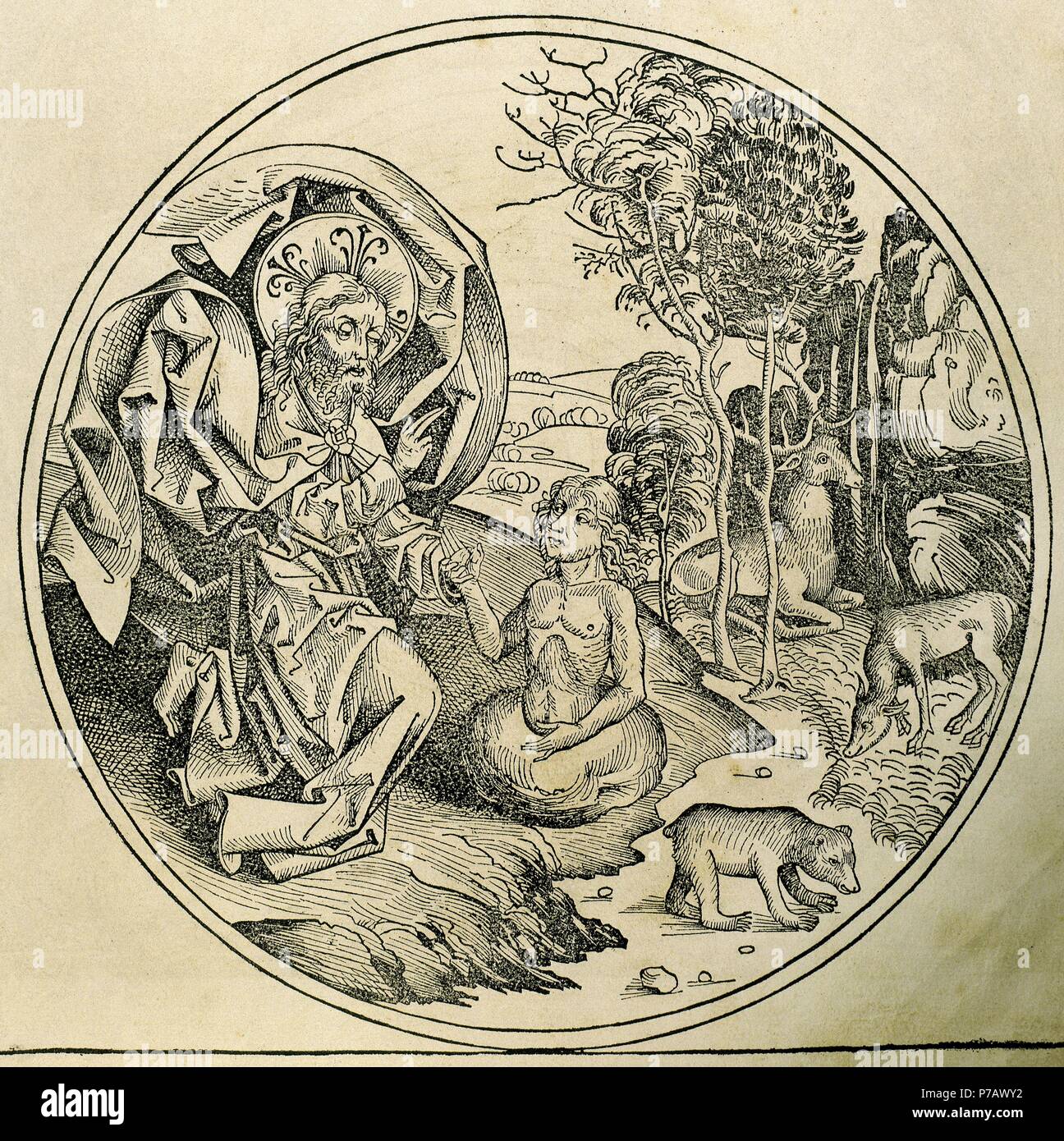 Creation of Man. Engraving, 16th century Stock Photo - Alamy