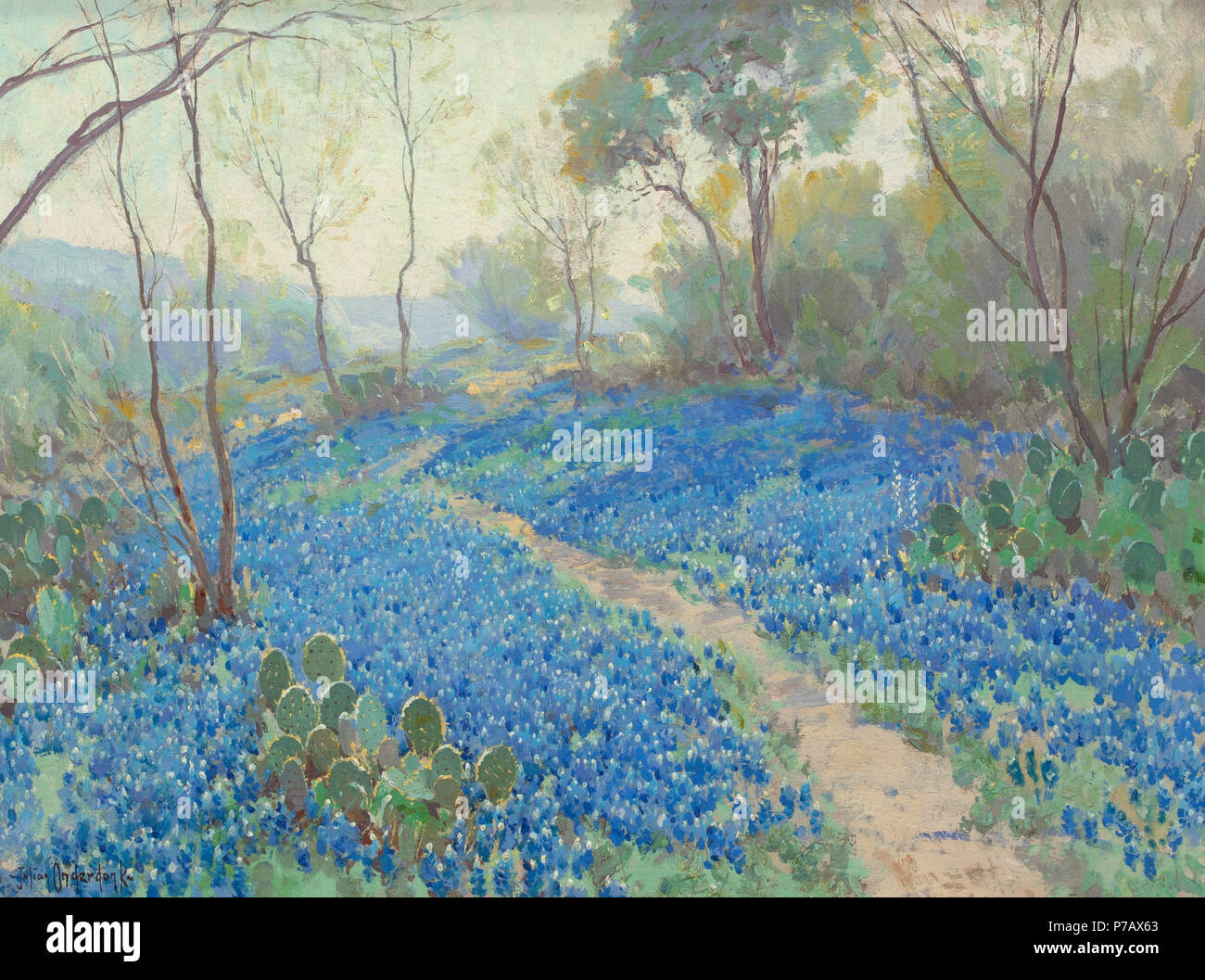 . A Hillside of Blue Bonnets- Early Morning, Near San Antonio Texas ...