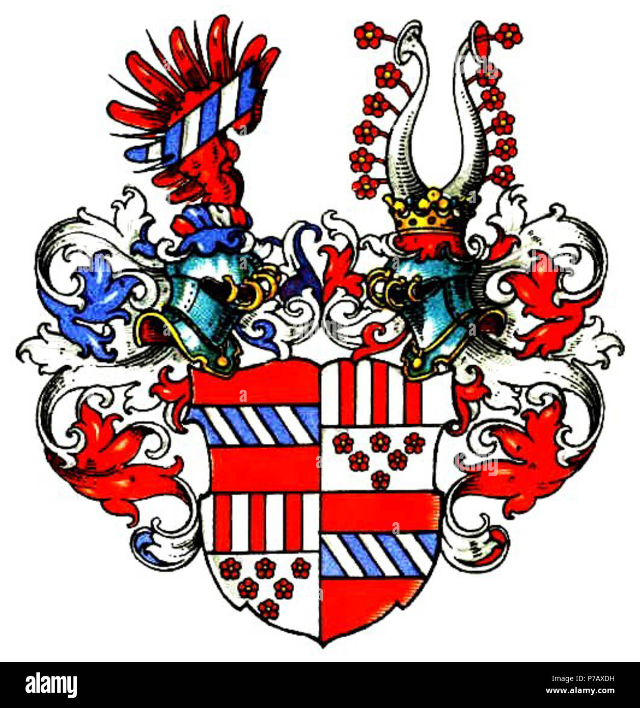 Wappen derer von Knobelsdorff-Brenkenhoff . 19th century 48 ...