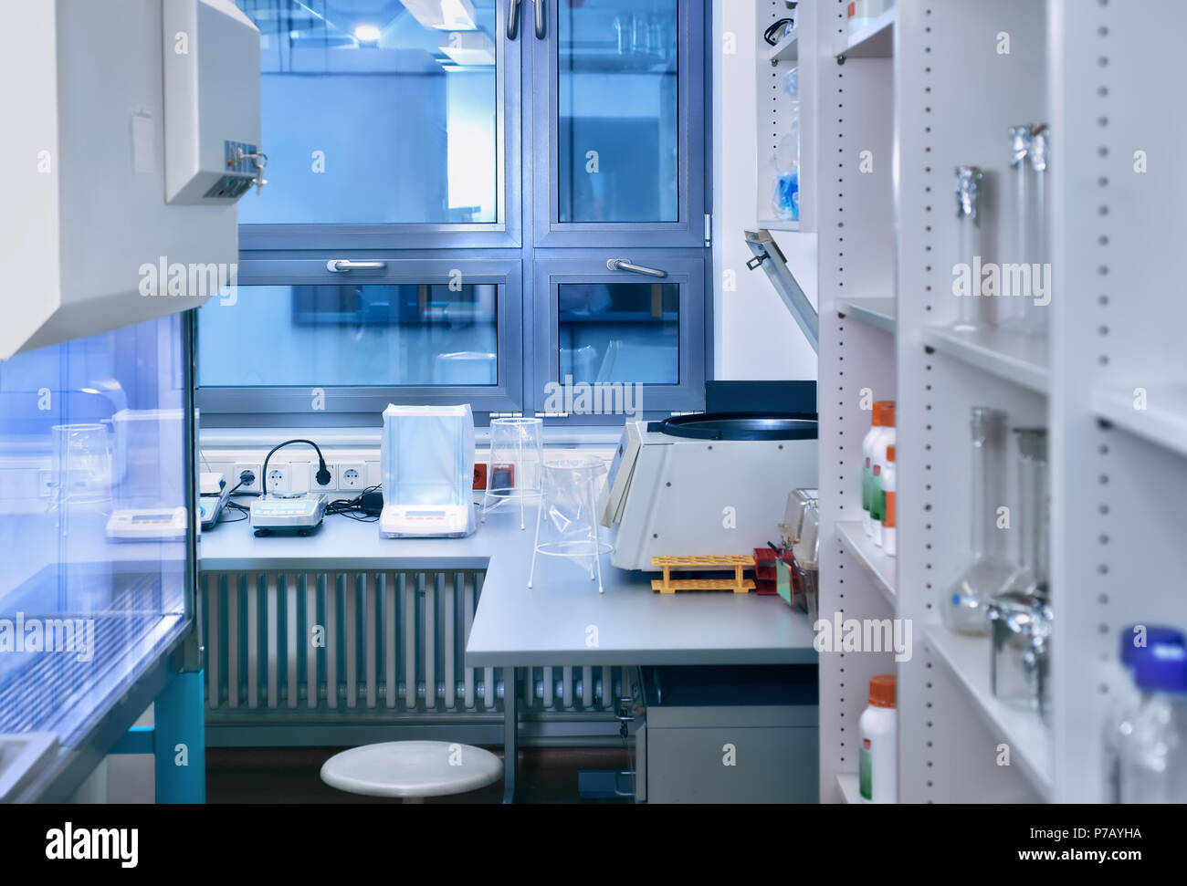 Interior of modern research laboratory with cell culture hood and ...