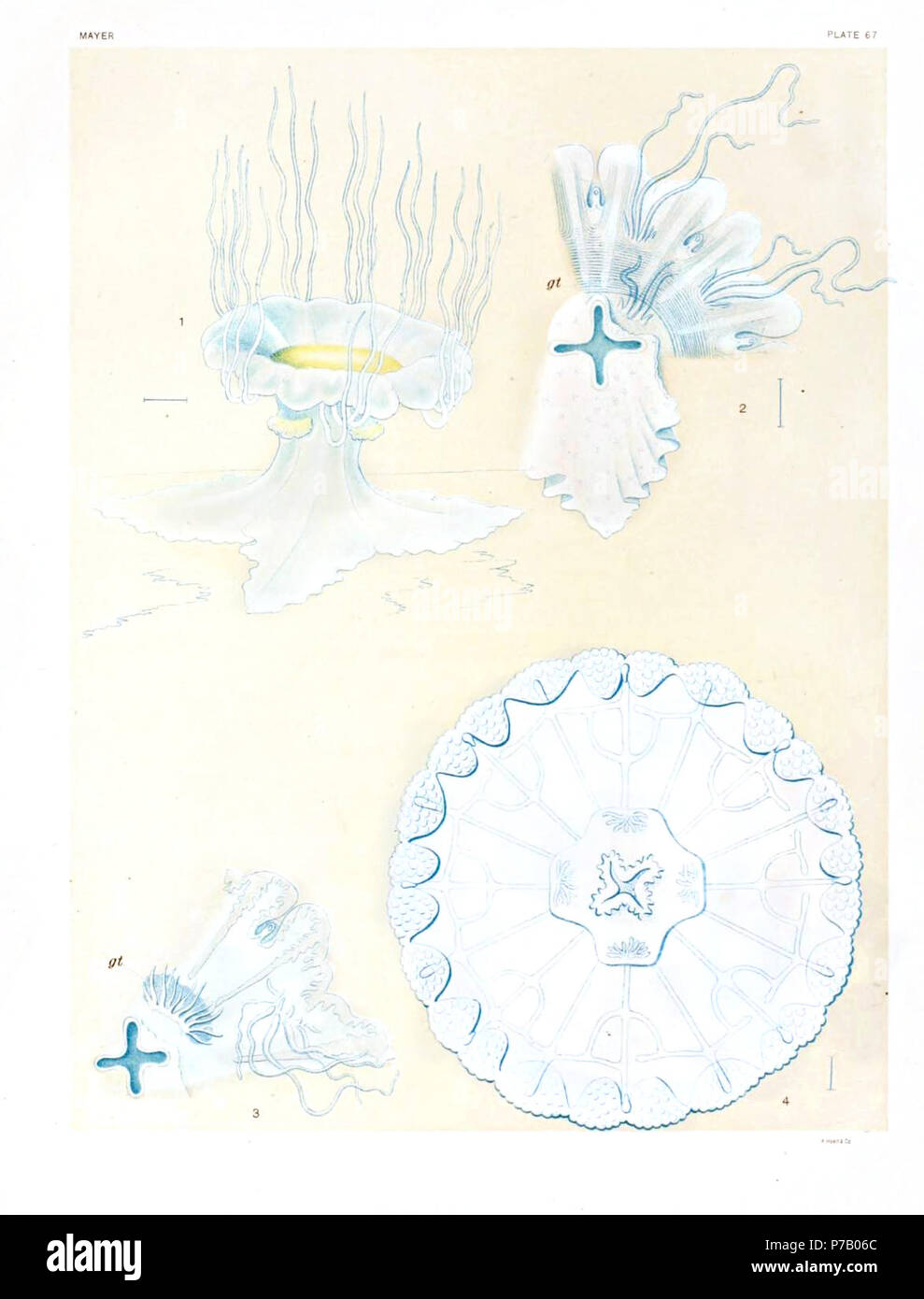 Relative Size In Art