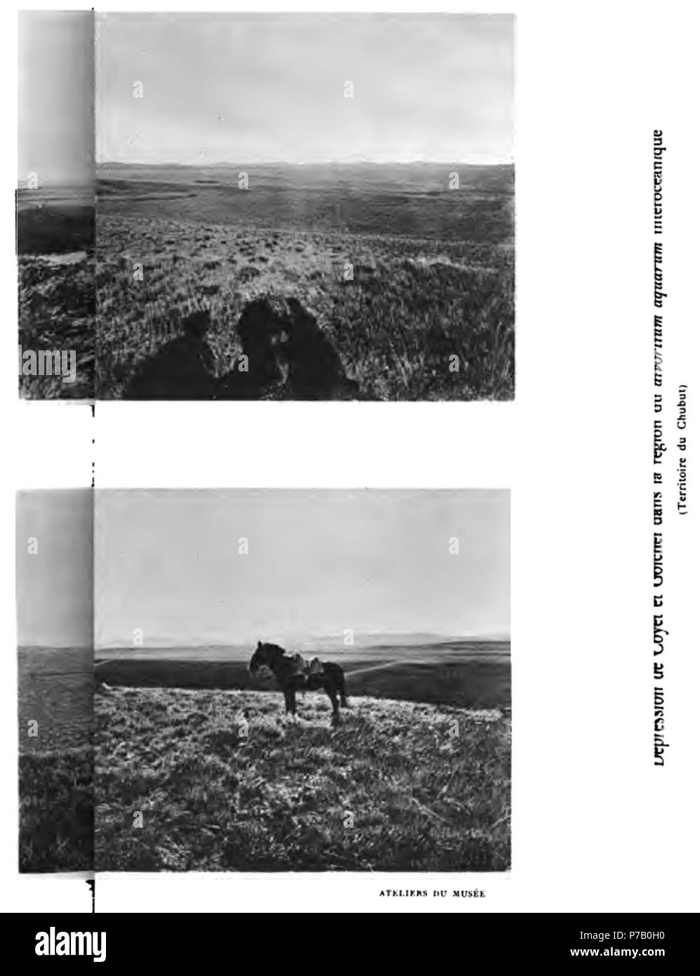 Expeditionary reconnaissance hi-res stock photography and images - Alamy