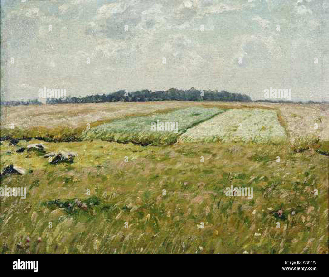 Siverskoy hi-res stock photography and images - Alamy