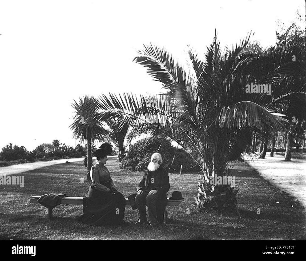 . English: Older man with beard and woman seated on bench next to palm ...