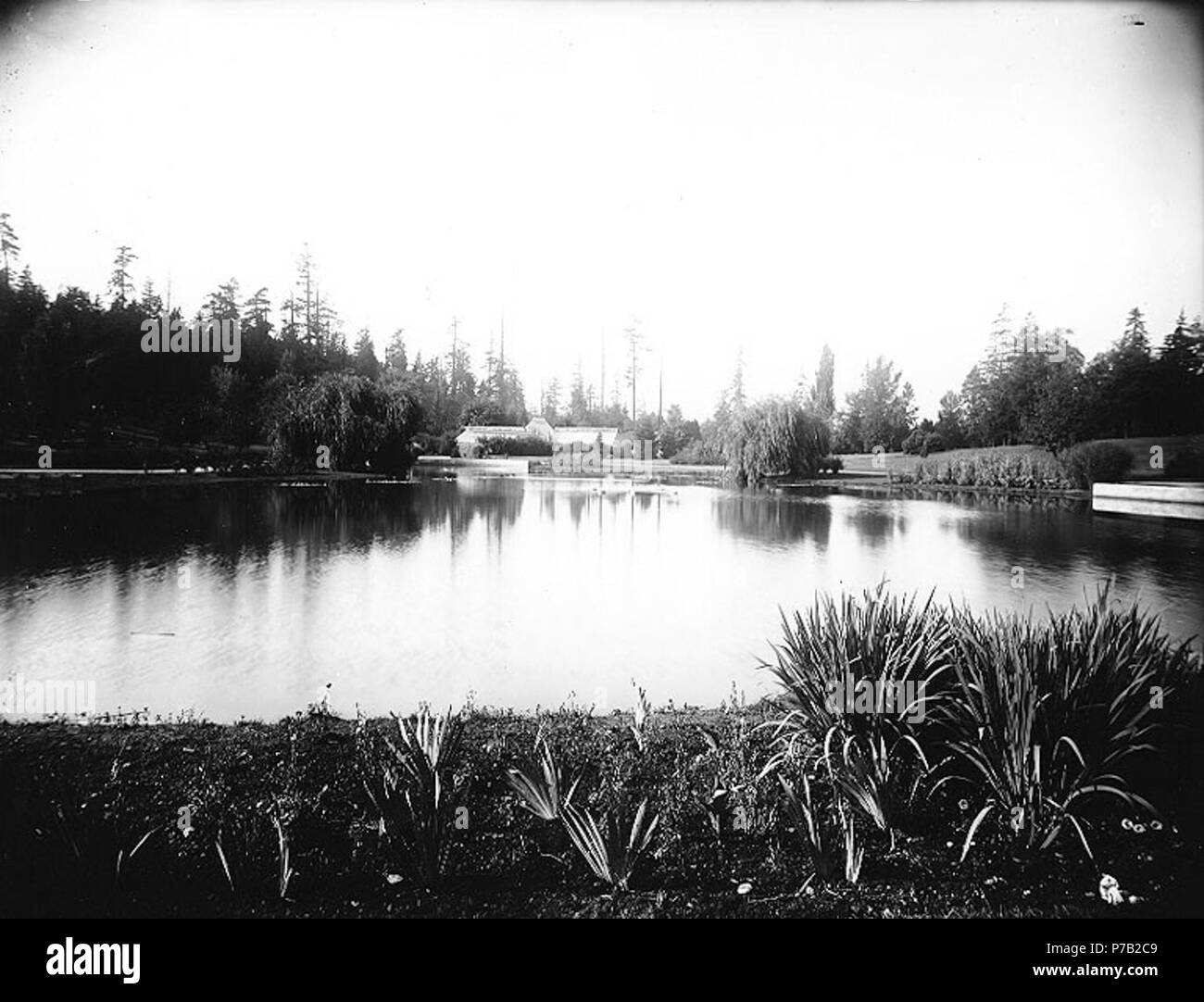 Tacoma lakes hi-res stock photography and images - Alamy