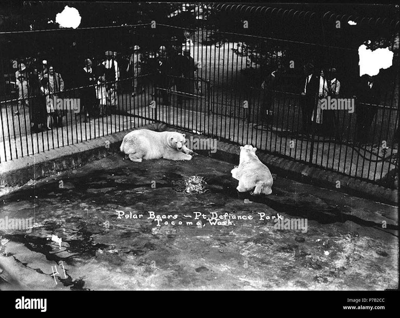 Point defiance zoo aquarium Black and White Stock Photos & Images - Alamy