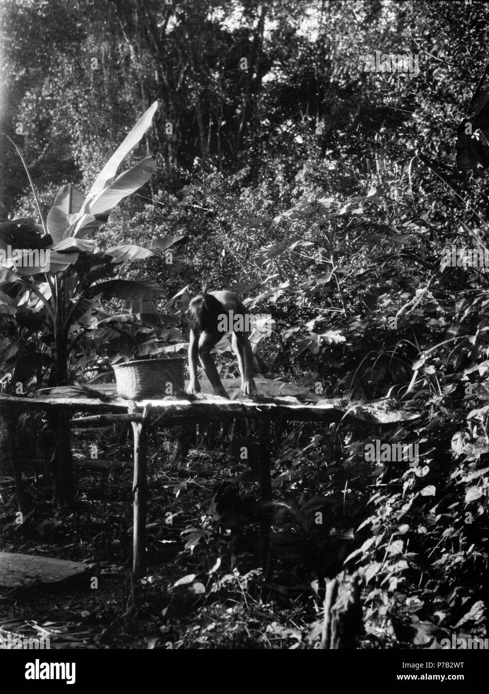 Rio ris hi-res stock photography and images - Alamy