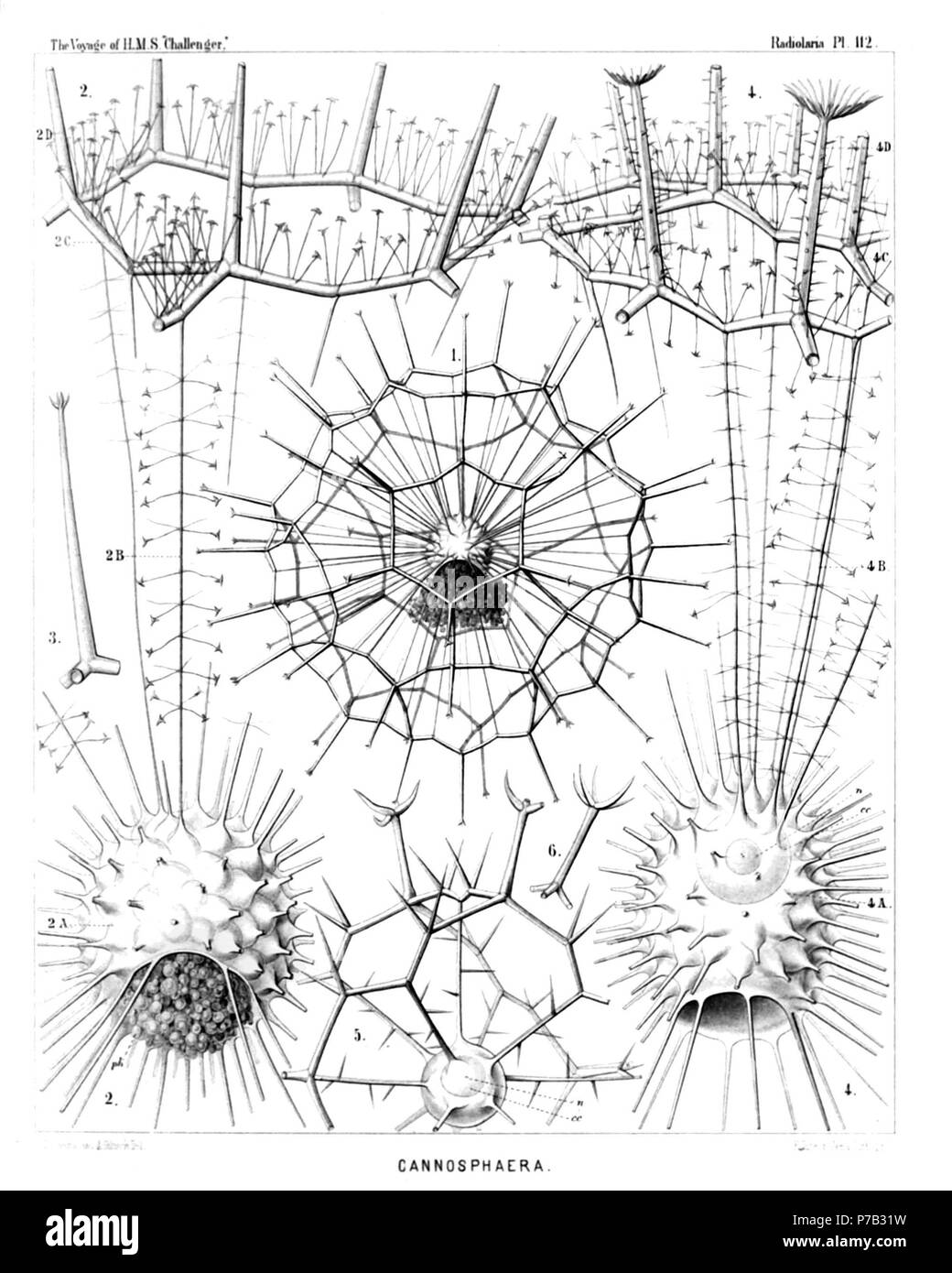 Radial beams hi-res stock photography and images - Alamy