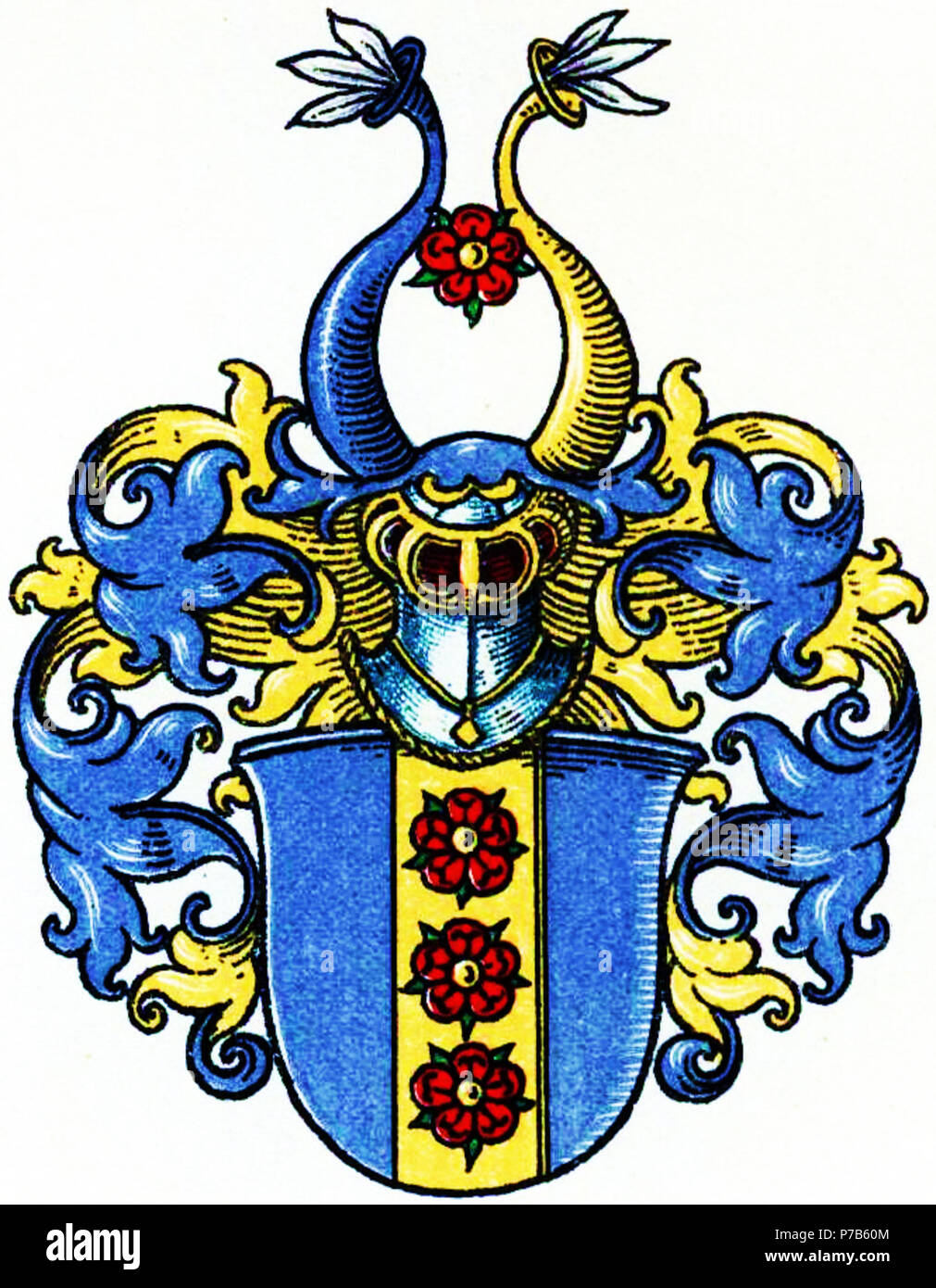 Rintelen hi-res stock photography and images - Alamy