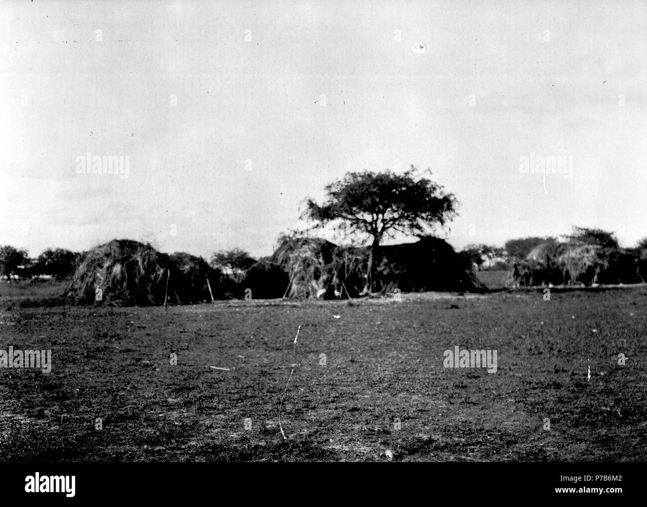 Gran chaco bolivia hi-res stock photography and images - Alamy