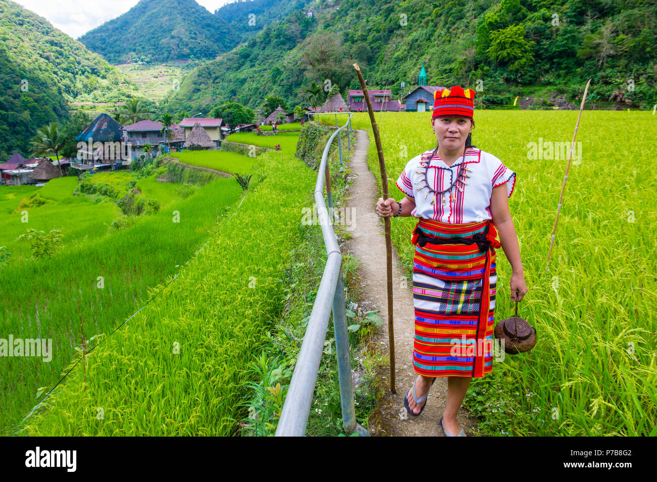 Woman from Ifugao Minority near a rice terraces in Banaue the ...