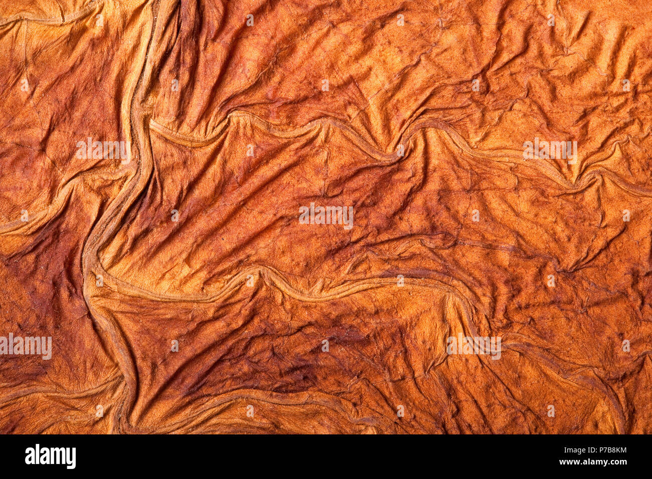 Tobacco Leaf Texture