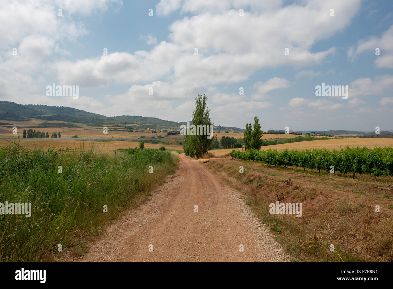 Camino de Santiago as it passes through Navarra, Spain Stock Photo - Alamy