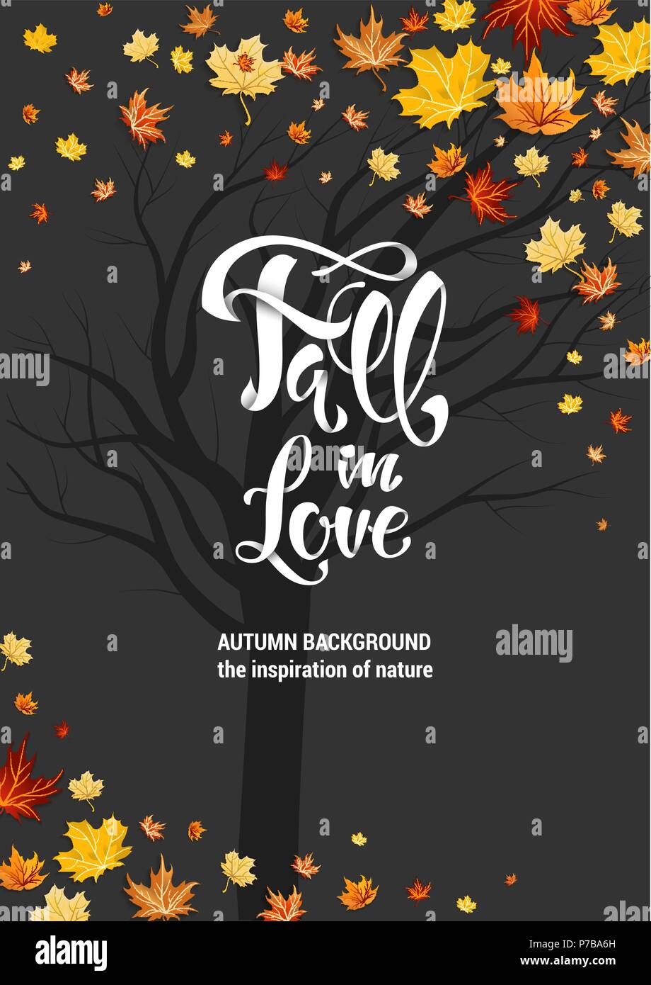 Autumn leaves flat lay Stock Vector Images - Alamy
