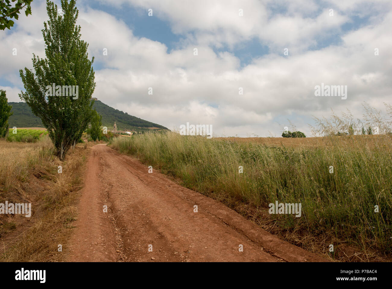 Camino de Santiago as it passes through Navarra, Spain Stock Photo - Alamy