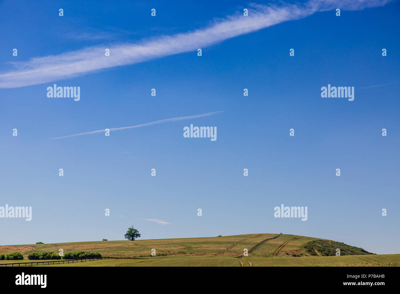 Small hill with a lone tree and clear blue sky. Background Stock Photo ...