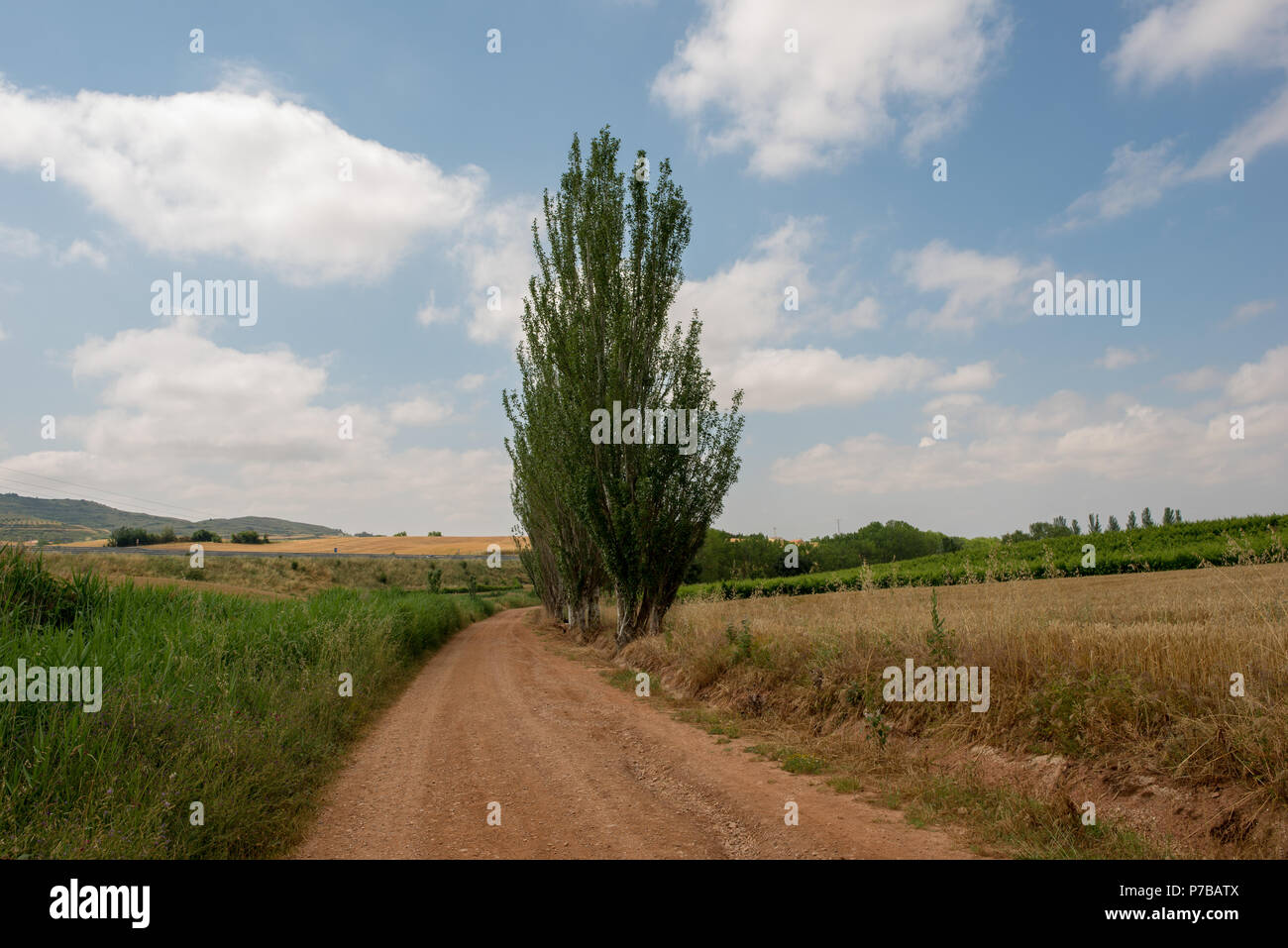 Camino de Santiago as it passes through Navarra, Spain Stock Photo - Alamy