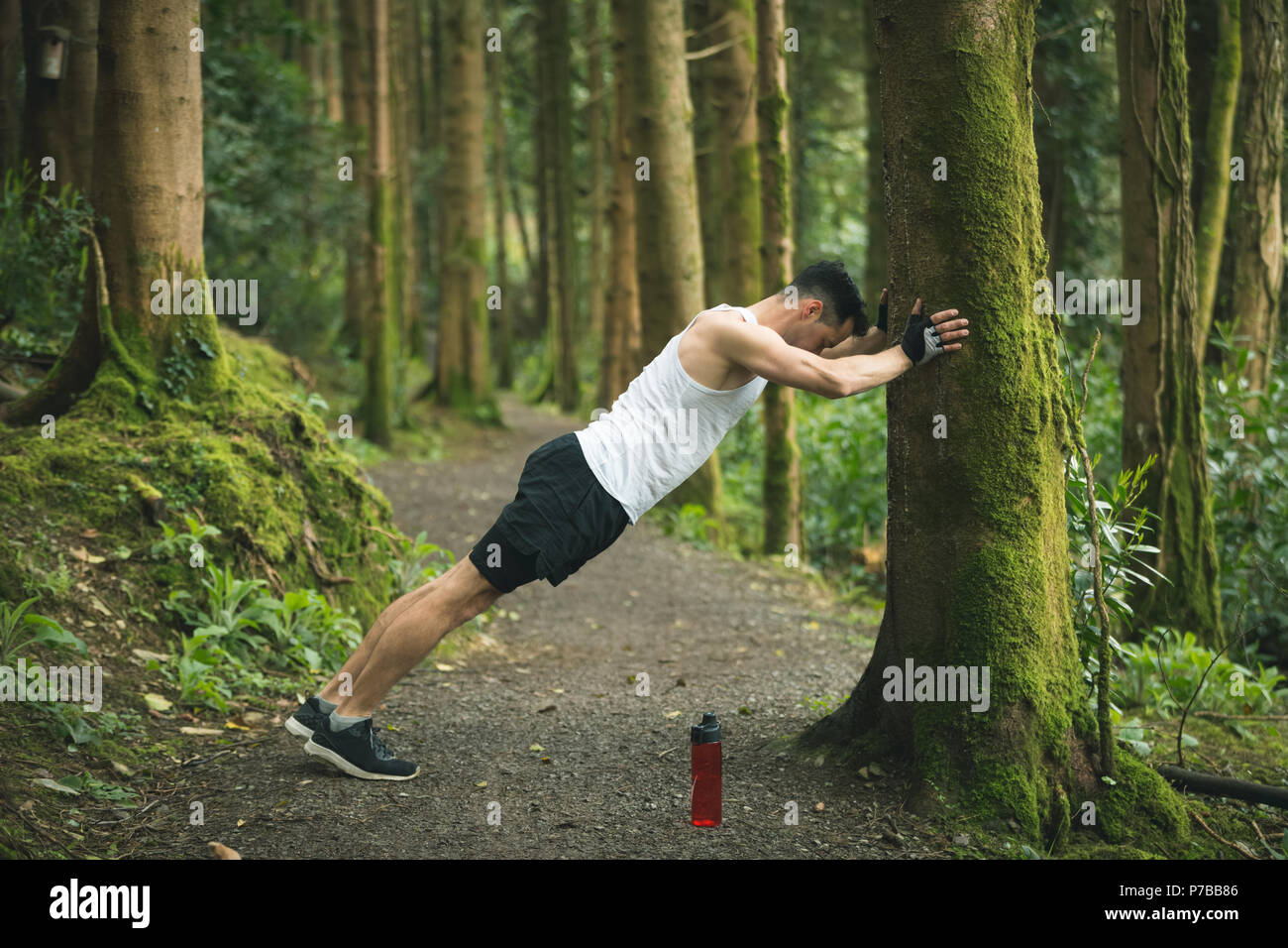 Exercise fit routine hi-res stock photography and images - Alamy
