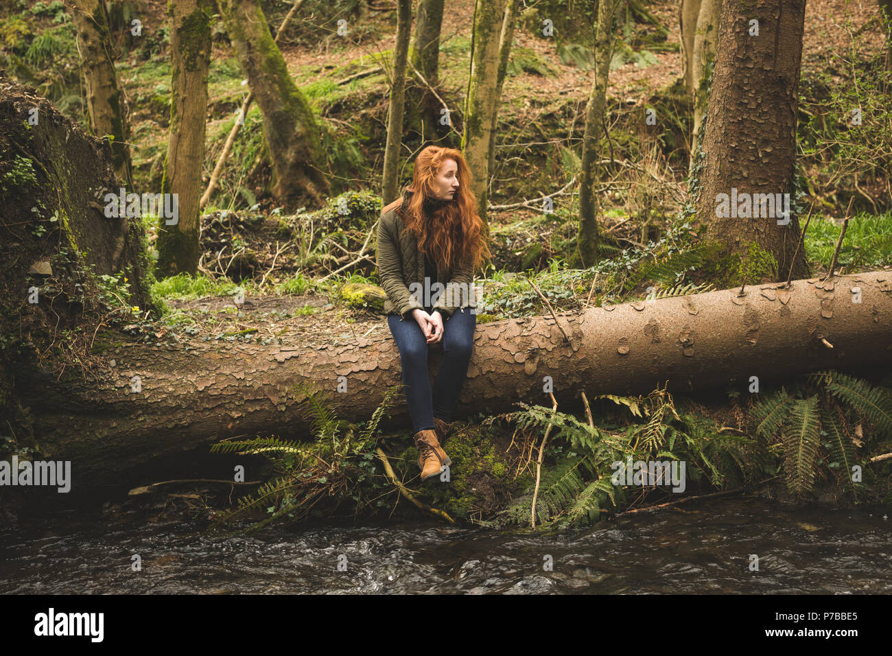 Sitting near tree hi-res stock photography and images - Alamy