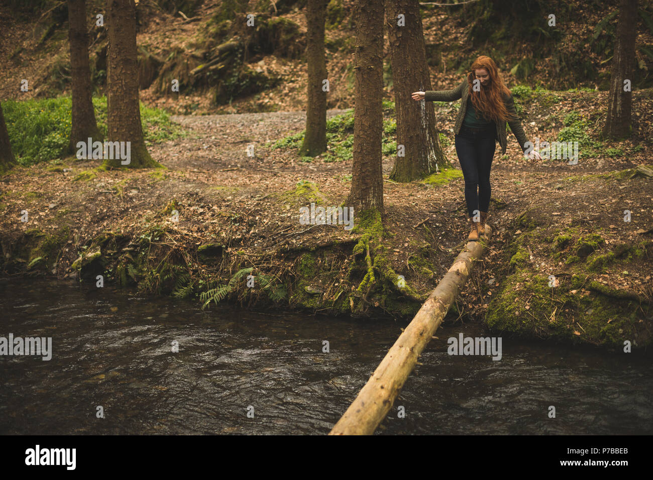 Female hiker walking on the fallen tree trunk across the river Stock ...