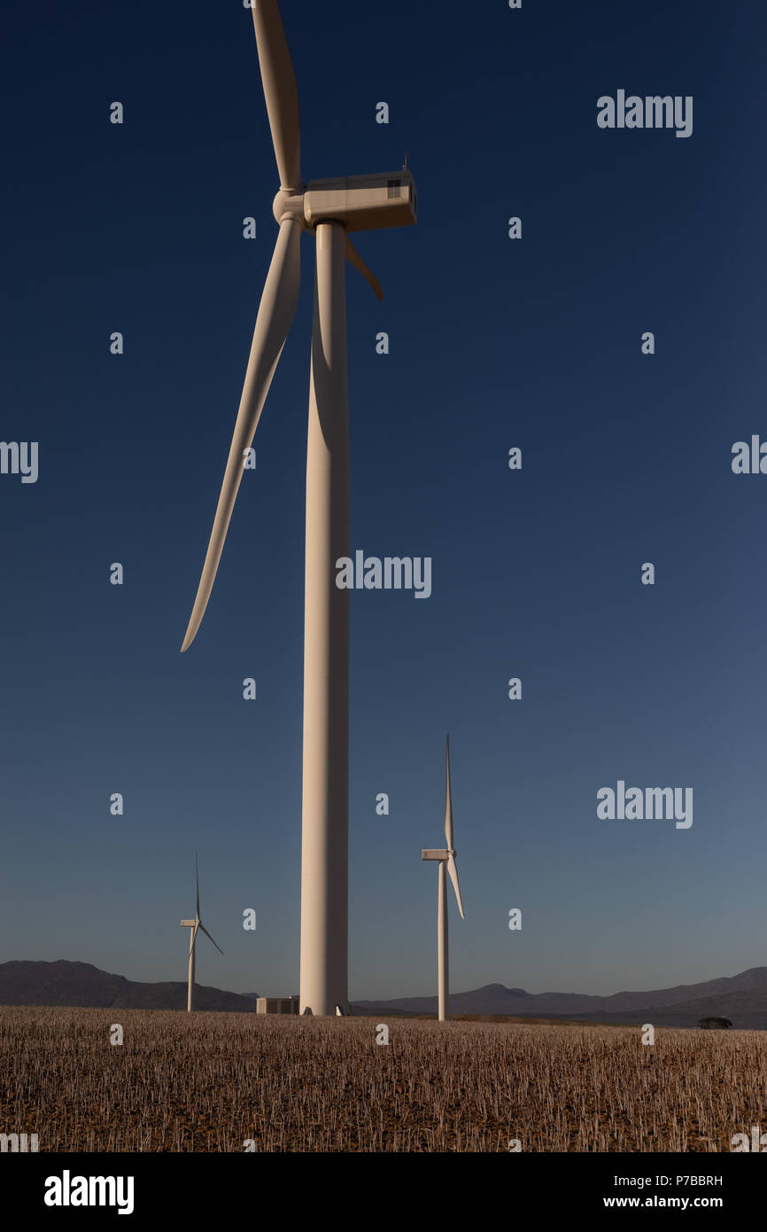 Wind mill at a wind farm Stock Photo - Alamy