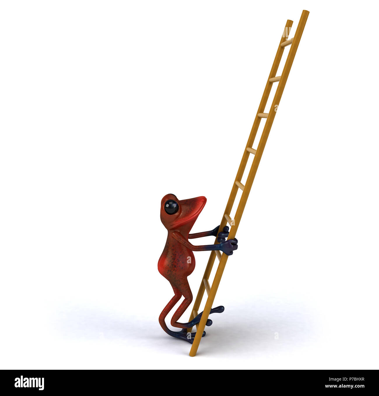Frog ladder Cut Out Stock Images & Pictures - Alamy