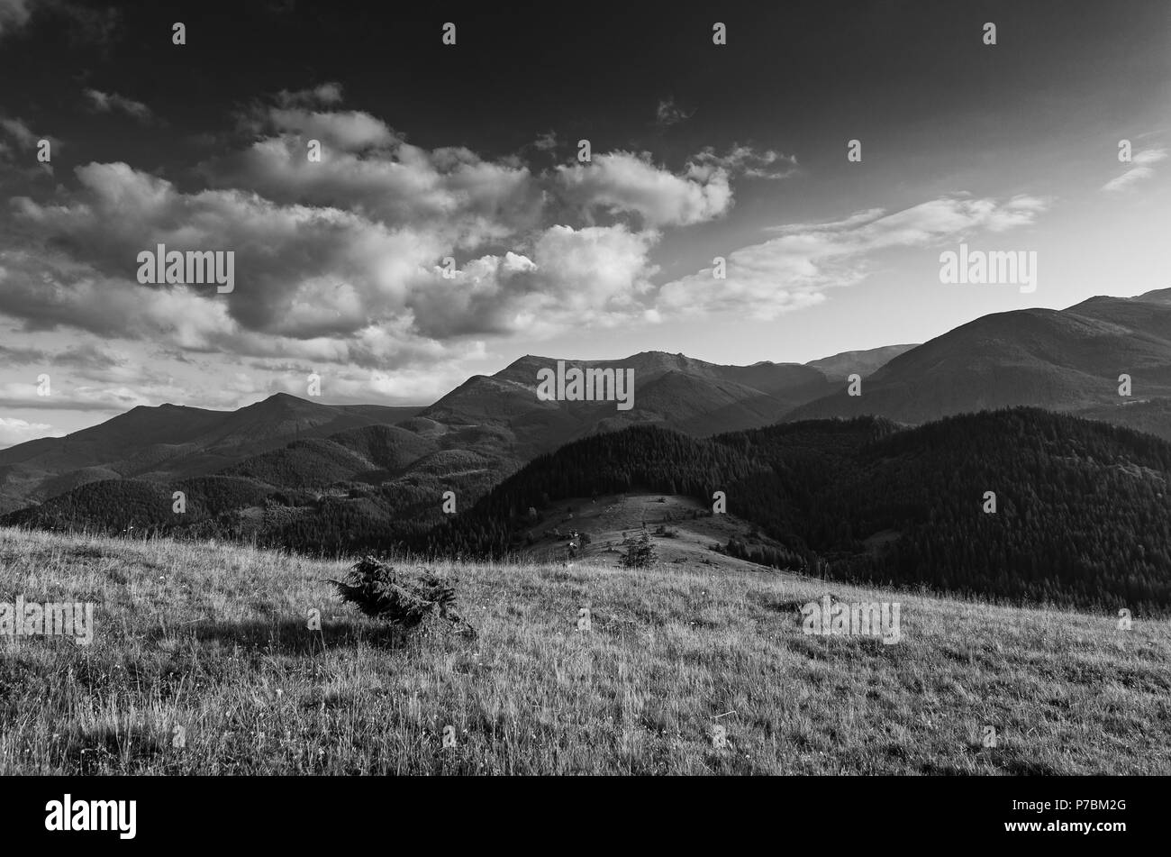 Sunny valley landscape background Black and White Stock Photos & Images ...