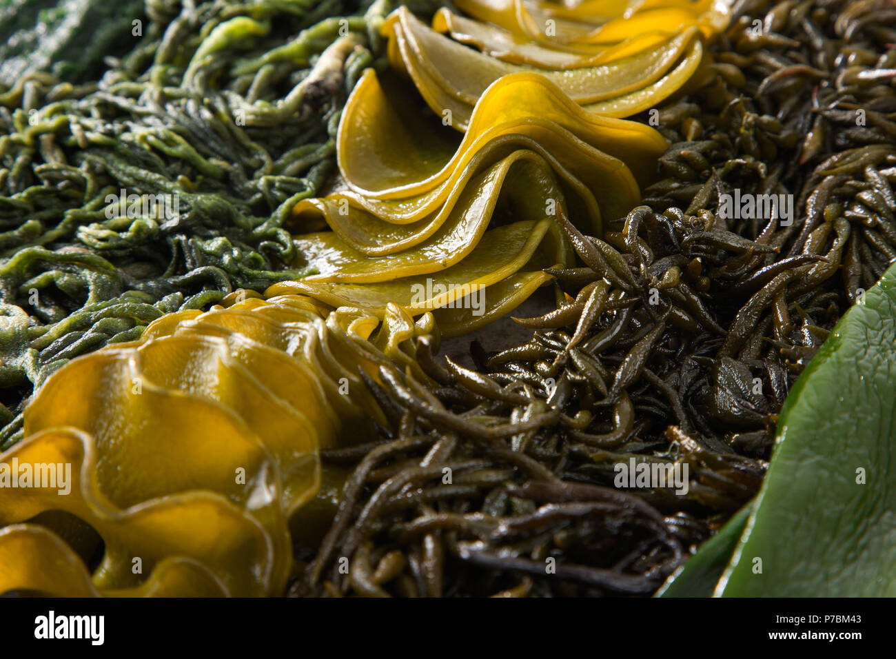 Object photos - seaweed, its rich in vitamins, minerals, and fiber. 150 ...