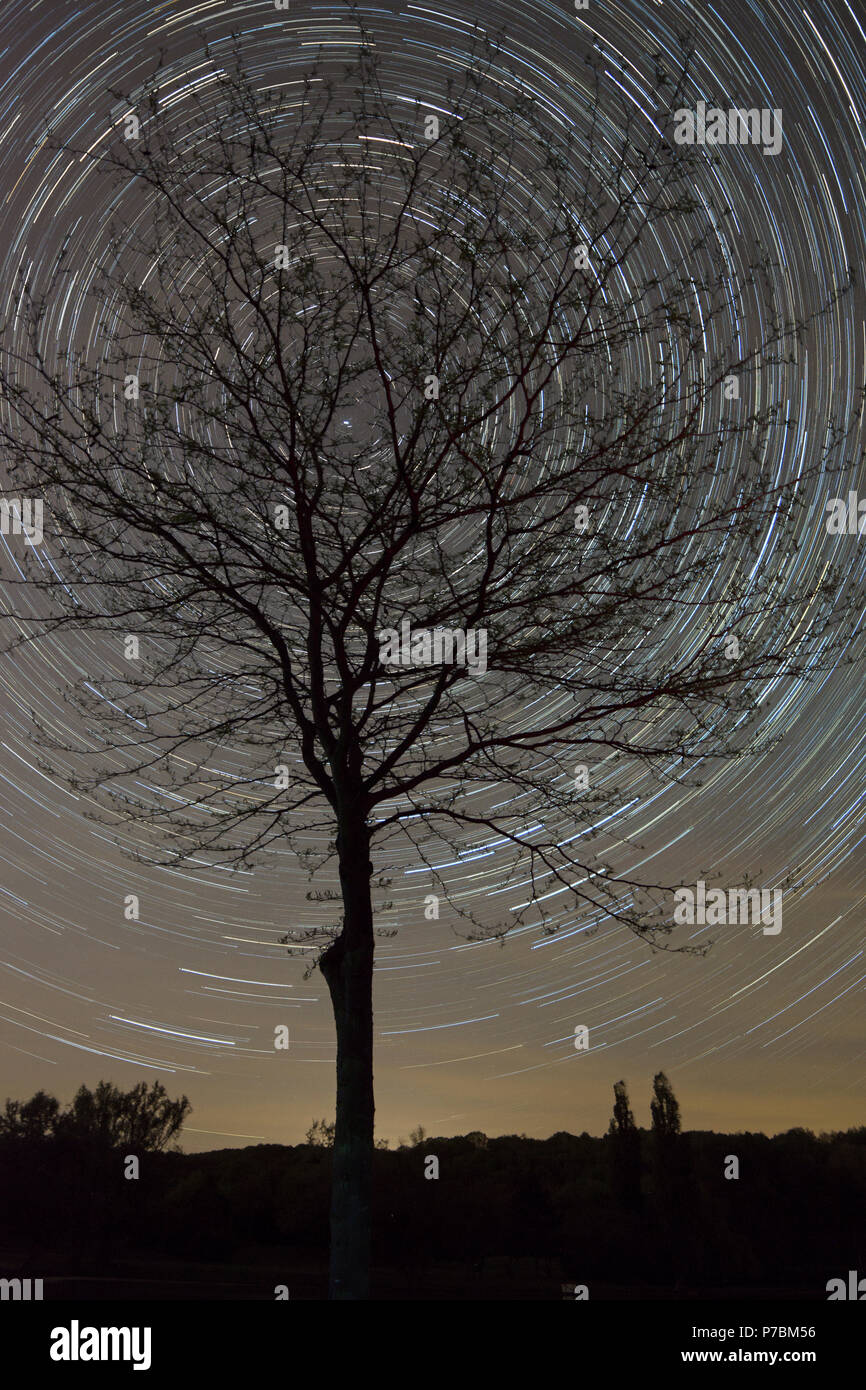 Startrails, Stars in May to the North, Steinertsee, Natural park Frau ...
