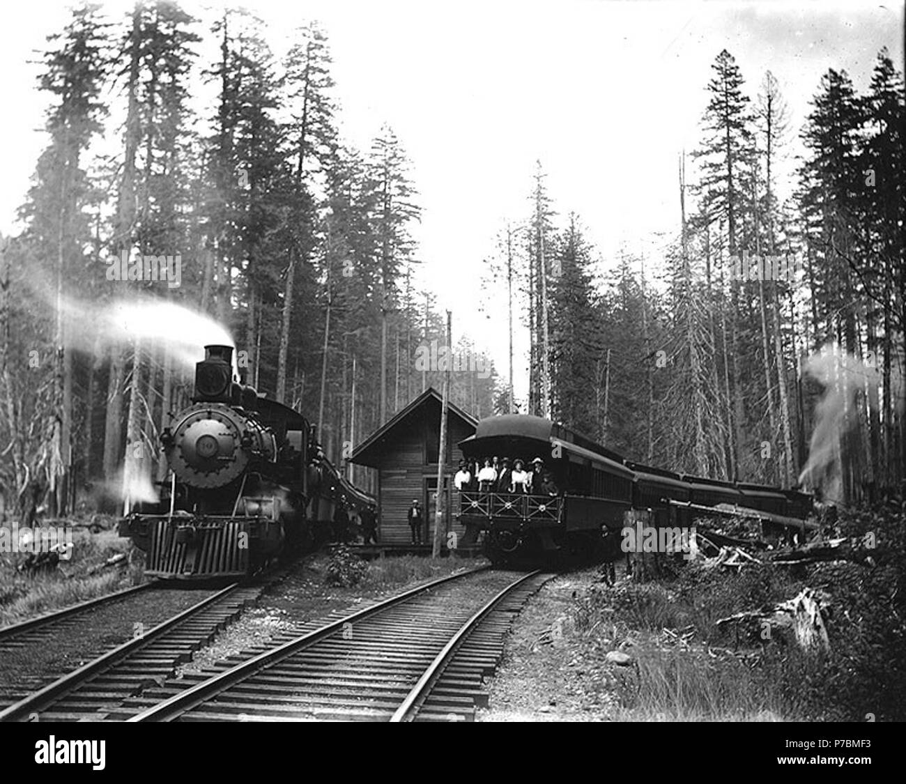 . English: Two trains probably of the Tacoma Eastern Railroad, Parkland ...