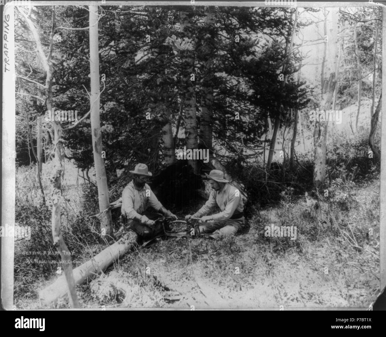 2 men) Setting a Bear Trap Stock Photo - Alamy