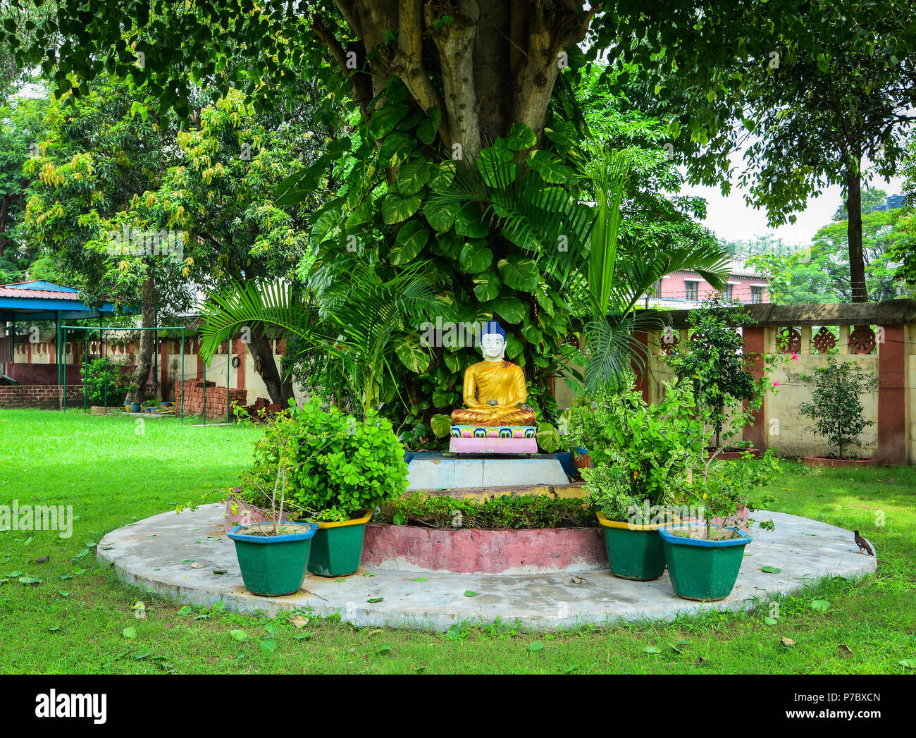 Buddha statue at the garden in Gaya, India Stock Photo - Alamy